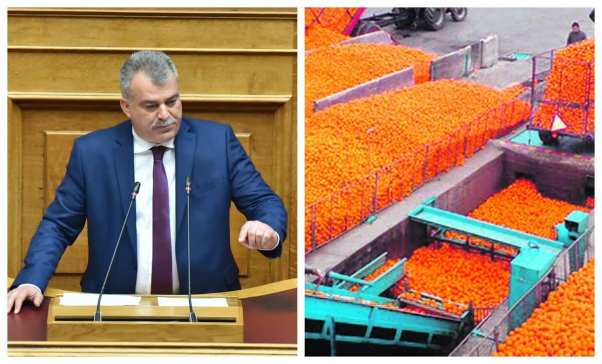 Ερώτηση Πουλά για τα προβλήματα των παραγωγών εσπεριδοειδών - Ενημέρωση ...
